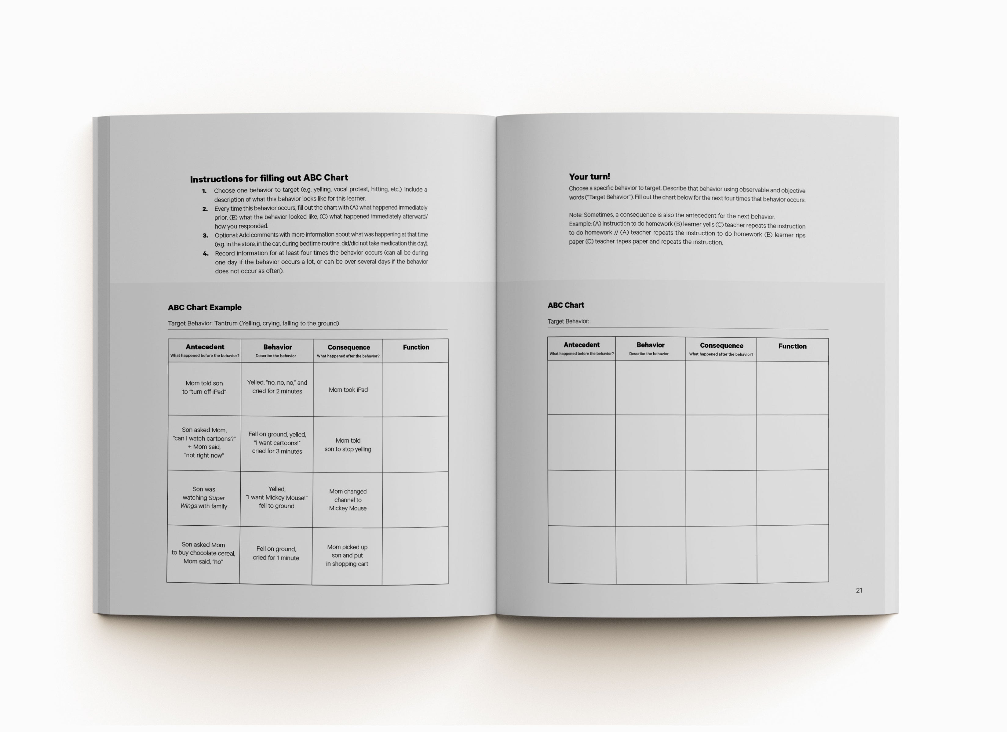 ABA Visualized Workbook 2nd Edition